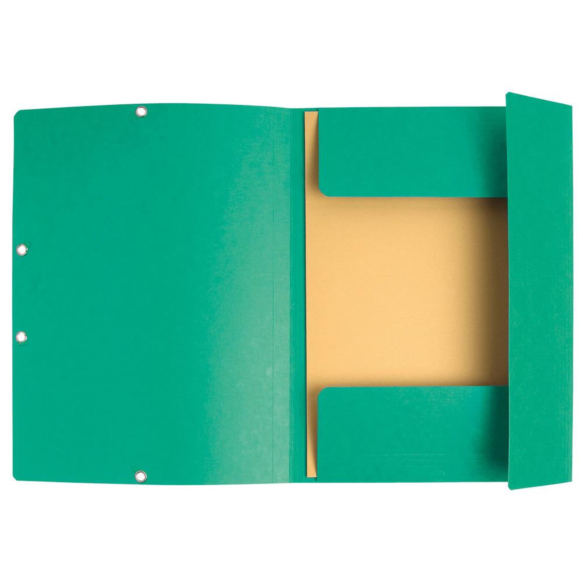 Mapa carton A4 EXACOMPTA | Office Direct