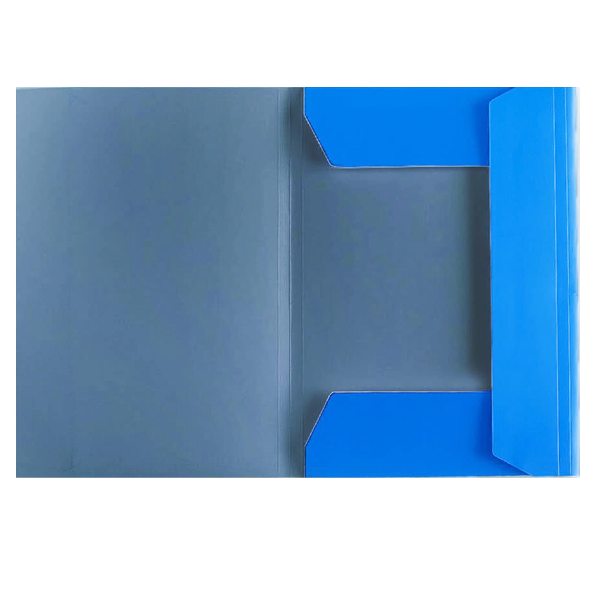 Mapa din carton cu elastic, 700 g/mp, WILLGO | Office Direct