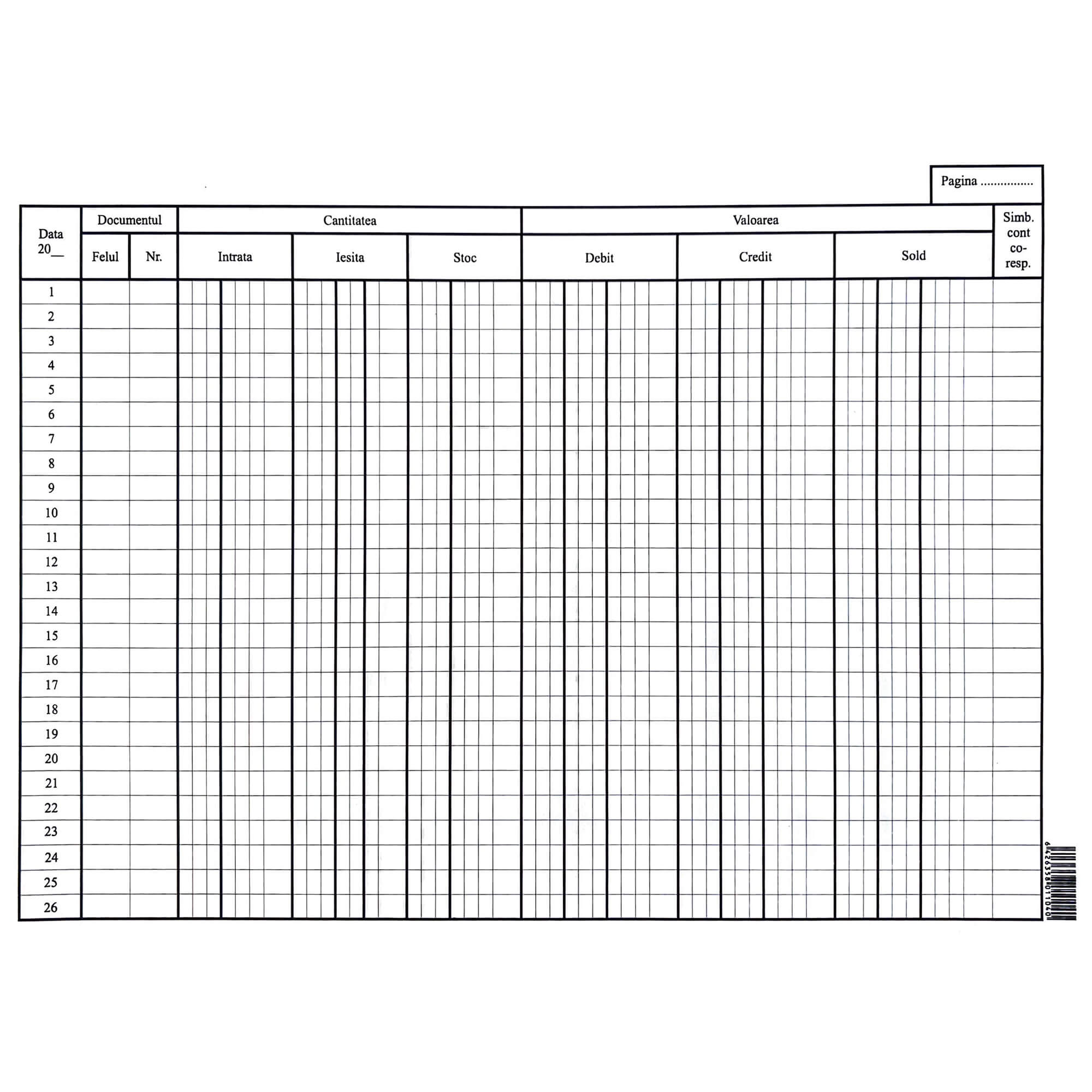 Fisa cont analitic valori materiale A4, 200 g/mp - Office Direct