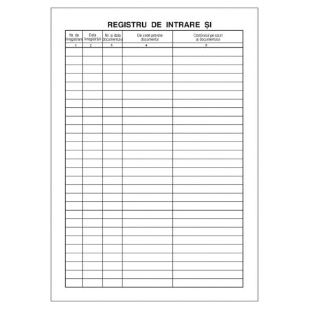 Registru Intrari - Iesiri: Tipizate la Pret Mic | Office Direct