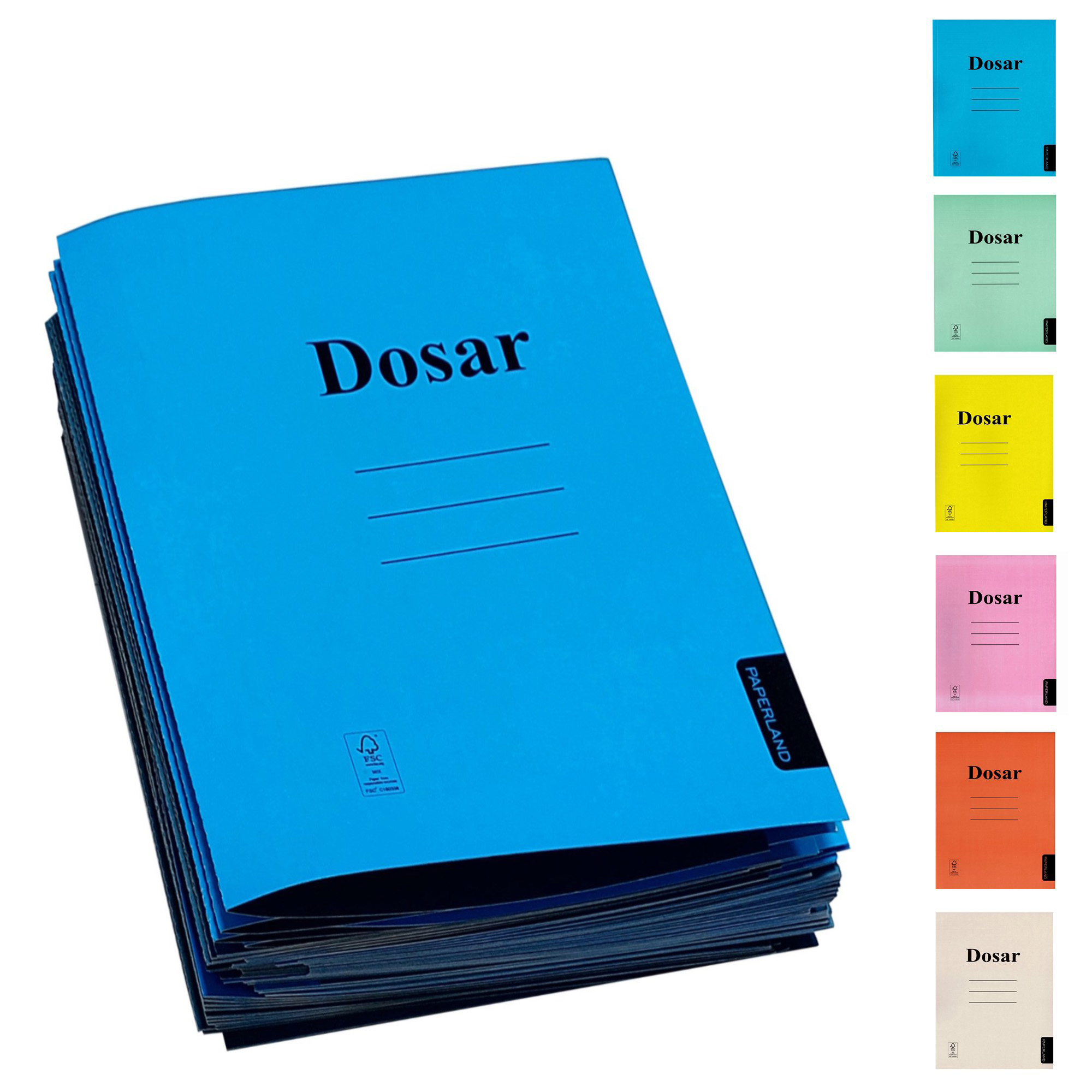 Dosar carton color cu sina, 300 g/mp, PAPERLAND, 50 buc/set